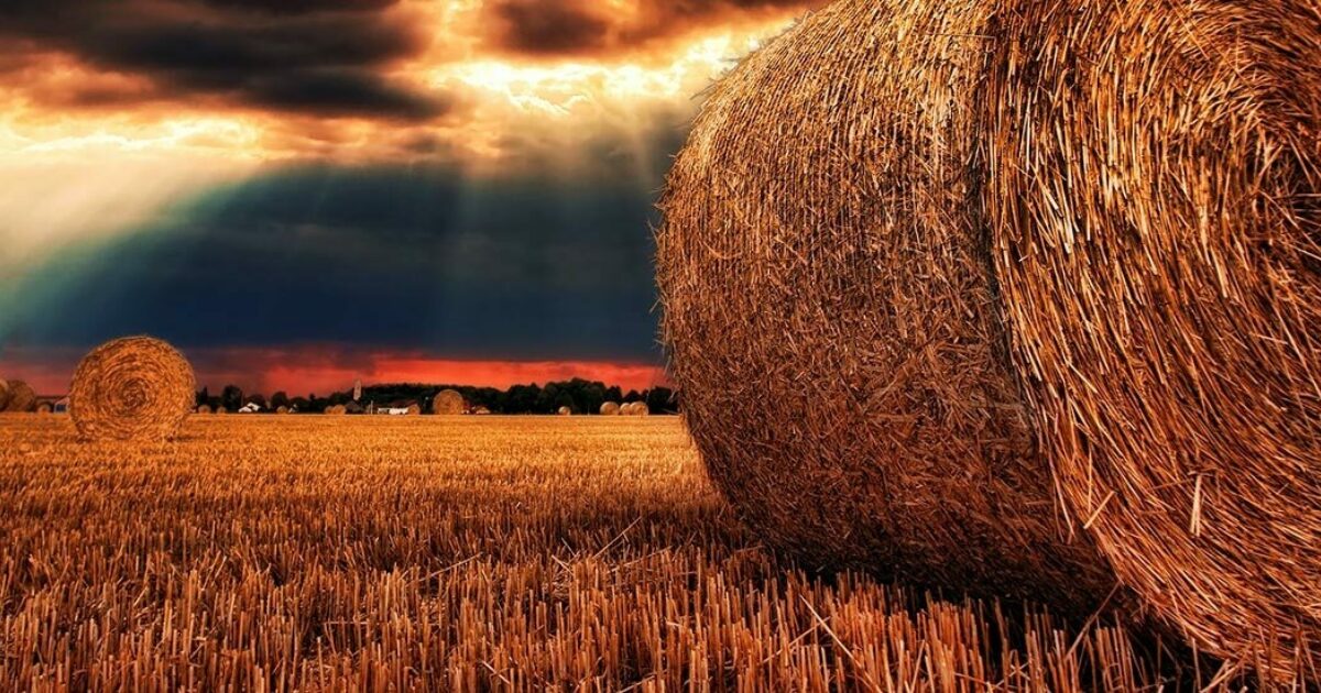 First Fidelity Bank & Gregory… | South Dakota Community Foundation