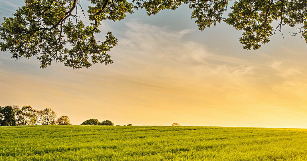 Publications | South Dakota Community Foundation