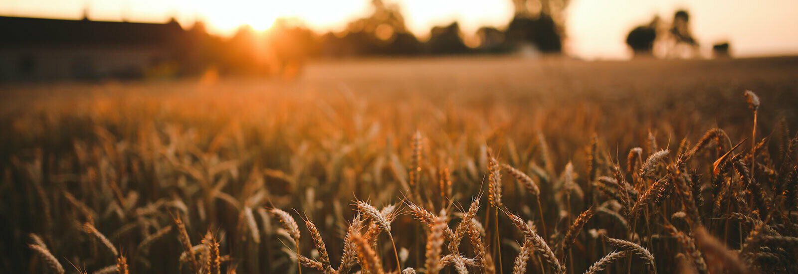 South Dakota Honorees —… | South Dakota Community Foundation