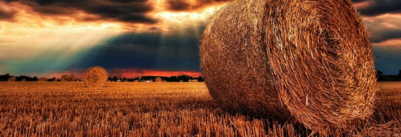 First Fidelity Bank & Gregory… | South Dakota Community Foundation