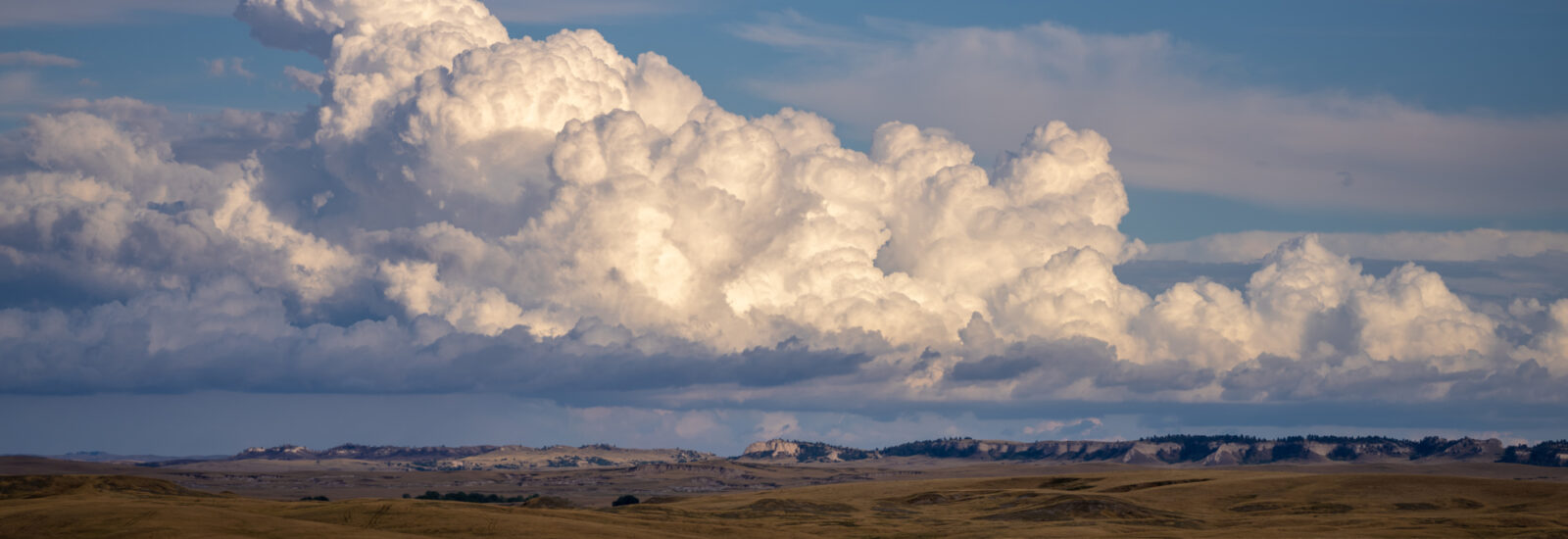 Recording Available: State of the… | South Dakota Community Foundation
