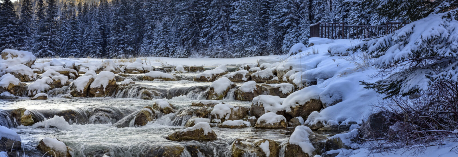 Grants Informational Webinar | South Dakota Community Foundation